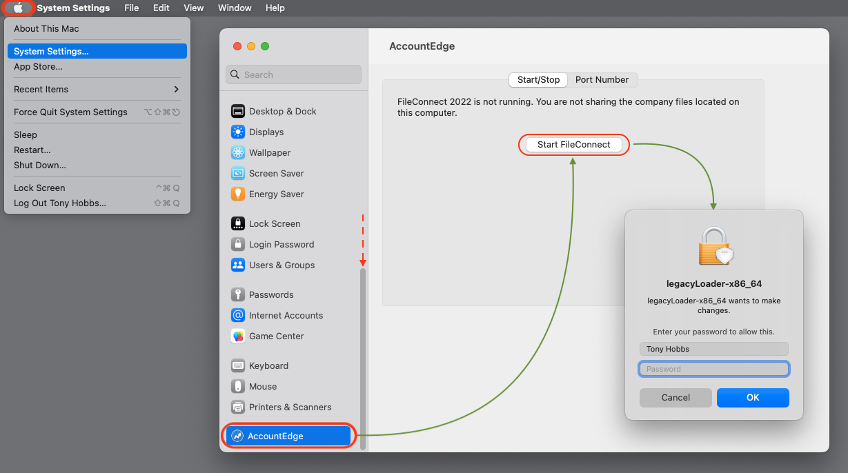 Sharing company files with AccountEdge NE
